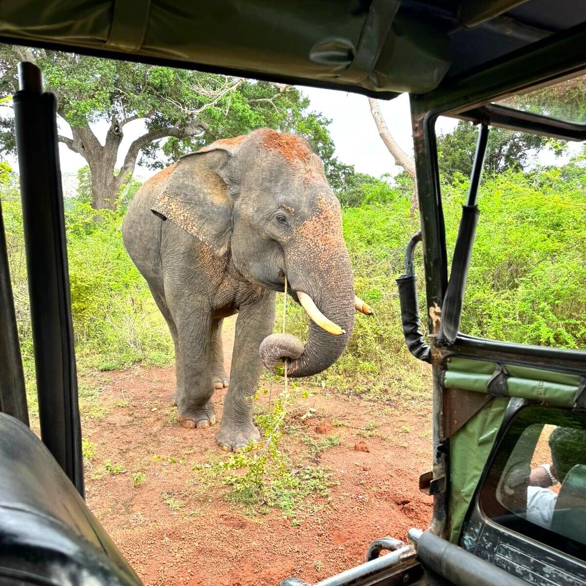 Rondreizen - Klooster Reizen